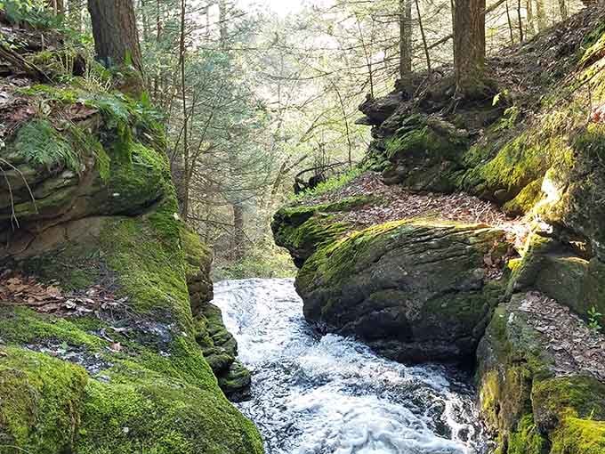 Sunbeams pierce through the forest canopy, illuminating the narrow gorge where water flows through ancient stone.