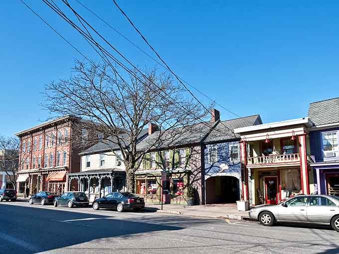 Winter's bare branches reveal the bones of classic buildings that have anchored this riverside community for decades.