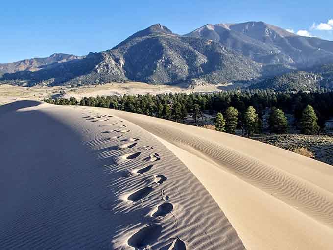 Footprints trace perfect ripples across dunes that tower higher than most office buildings you've ever worked in.