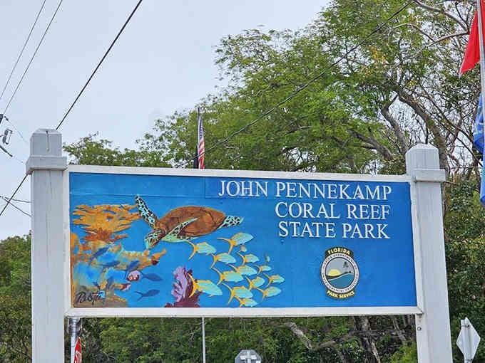 The vibrant sign promises underwater wonders with colorful fish and sea turtles painted in cheerful tropical hues.