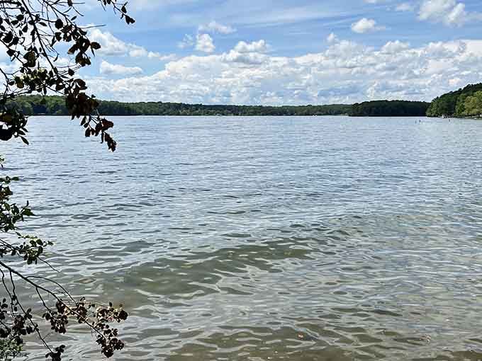 Nature's own screensaver: gentle ripples, puffy clouds, and trees framing the view just right for daydreaming.