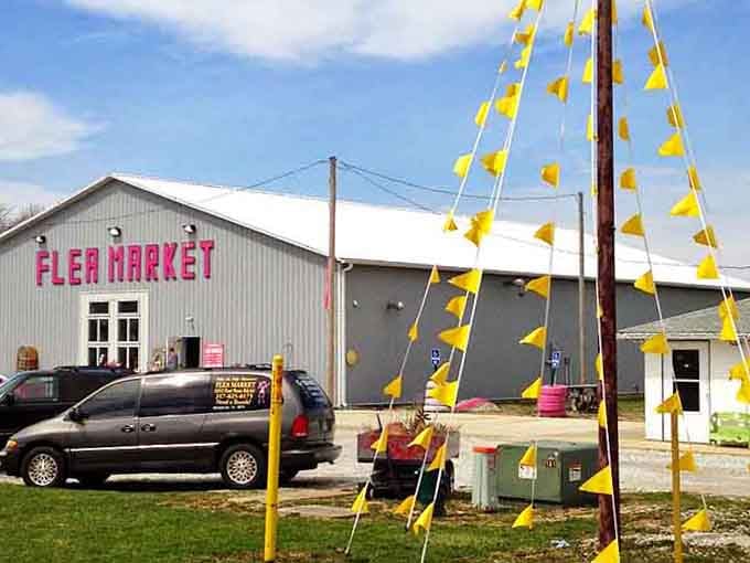 Yellow pennant flags flutter like a used car lot, except here you're shopping for memories instead of mileage.