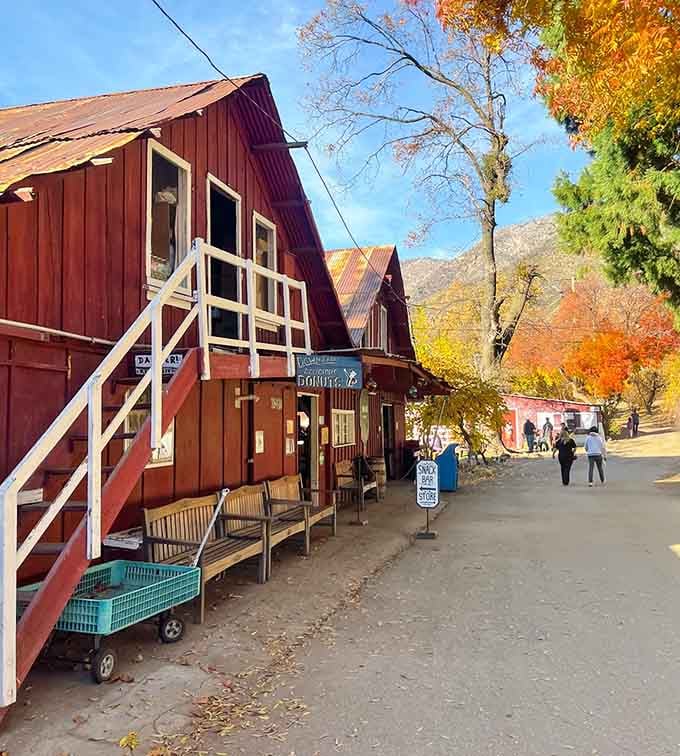 Fall colors paint the hillside shops in nature's palette&mdash;autumn in Oak Glen feels like stepping into October itself.