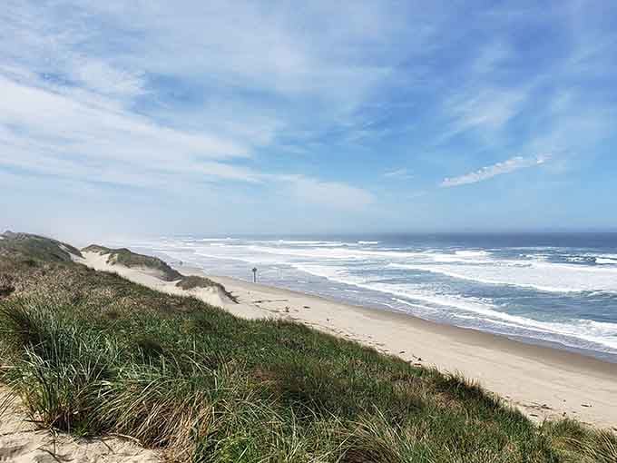 Those windswept dunes stretch endlessly toward the ocean, proving Oregon keeps its best surprises well hidden.