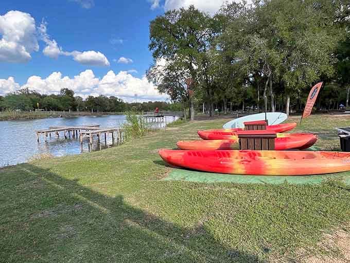 Bright kayaks waiting by the peaceful water promise adventures that'll make your grandkids jealous of your stories.