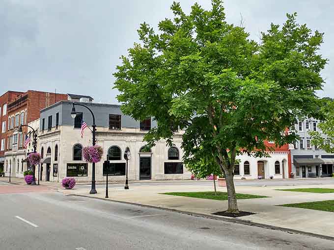 That magnificent tree provides shade and character, standing guard over Main Street like a leafy town elder.