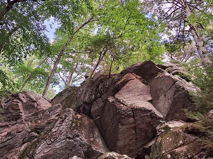 Sunlight filters through the canopy above this rocky maze, illuminating a geological wonderland carved by ice age glaciers long ago.
