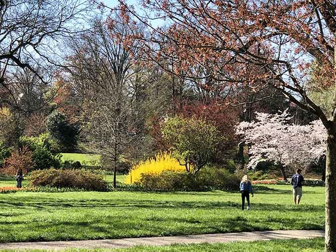 Spring transforms ordinary trees into clouds of pink and white blossoms that make you believe in fairy tales.