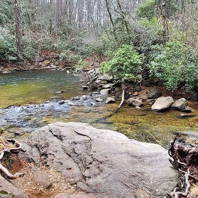 That peaceful creek bend offers shallow wading spots where even the most cautious swimmers feel right at home.