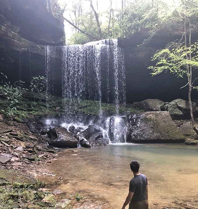 Sunlight filters through the canopy to illuminate this hidden waterfall, creating nature's own spotlight on the main attraction.