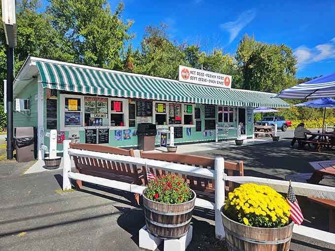 Those cheerful flower barrels and patriotic touches create the quintessential New England roadside dining experience.