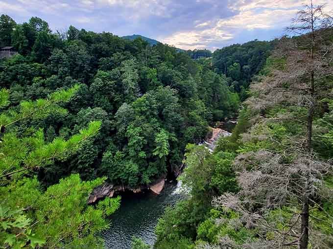 The lush green canopy surrounds this deep chasm, hiding waterfalls and ancient rock formations in its depths below.