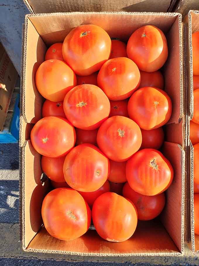 Tomatoes so perfectly red and plump they look like they're auditioning for a produce commercial.