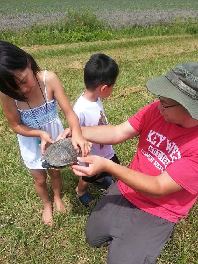 Educational moments happen when you least expect them, turning a simple turtle into a classroom without walls.