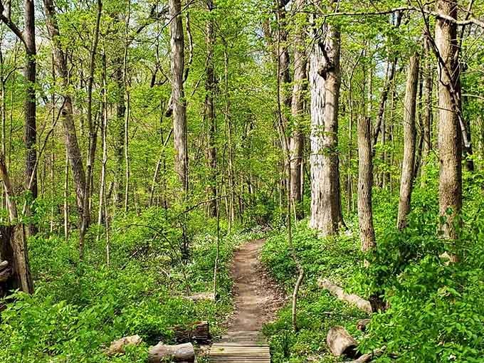 These trails wind through Rangeline Nature Preserve like nature's own therapy session, minus the copay and uncomfortable couch.