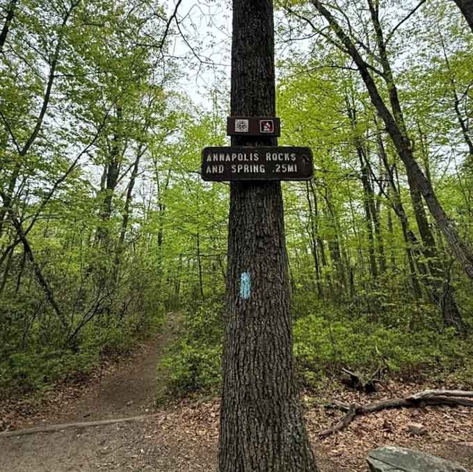 When you see this sign, you know you're officially on the path to mountain magic and memories.