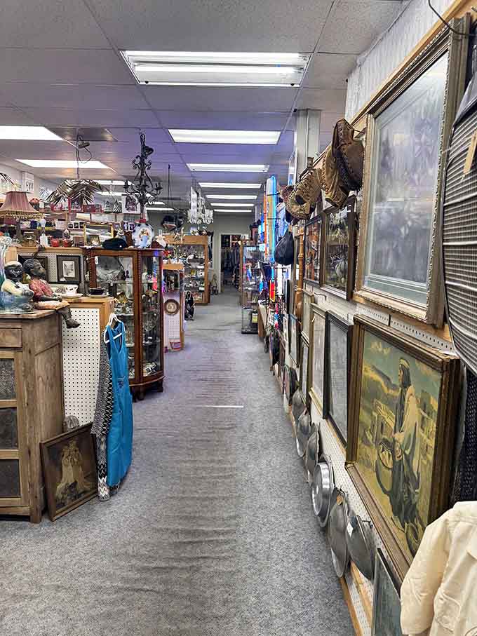 Every aisle reveals another era, another style, another reason to abandon your original five-minute shopping plan.