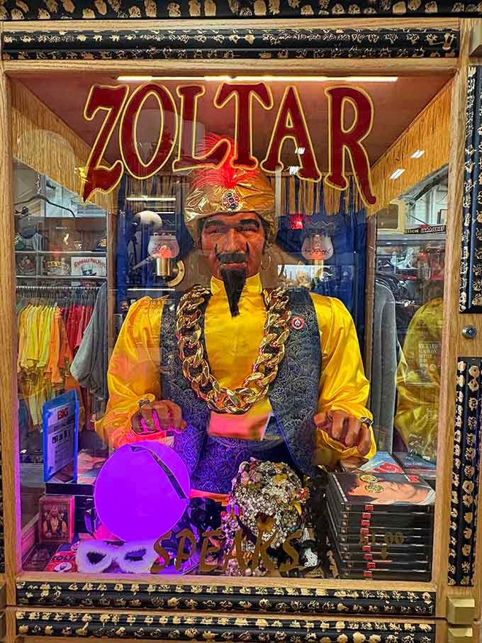 Zoltar knows your fortune, and apparently it involves buying more vintage treasures than you planned.