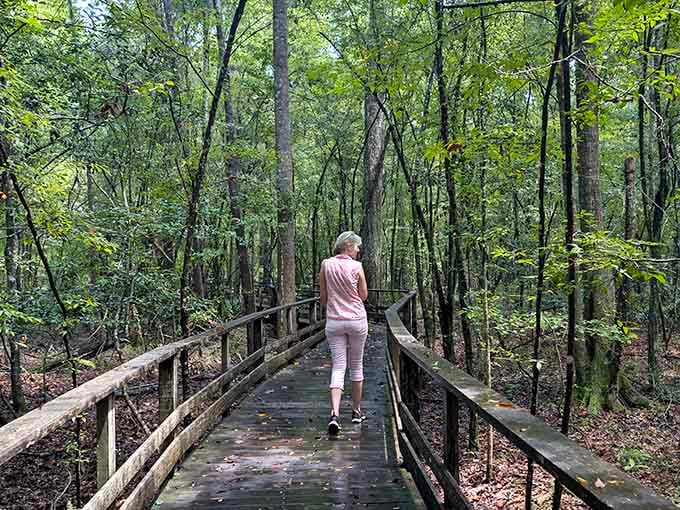 Sometimes the best therapy involves a wooden boardwalk, towering trees, and absolutely zero cell phone reception whatsoever.
