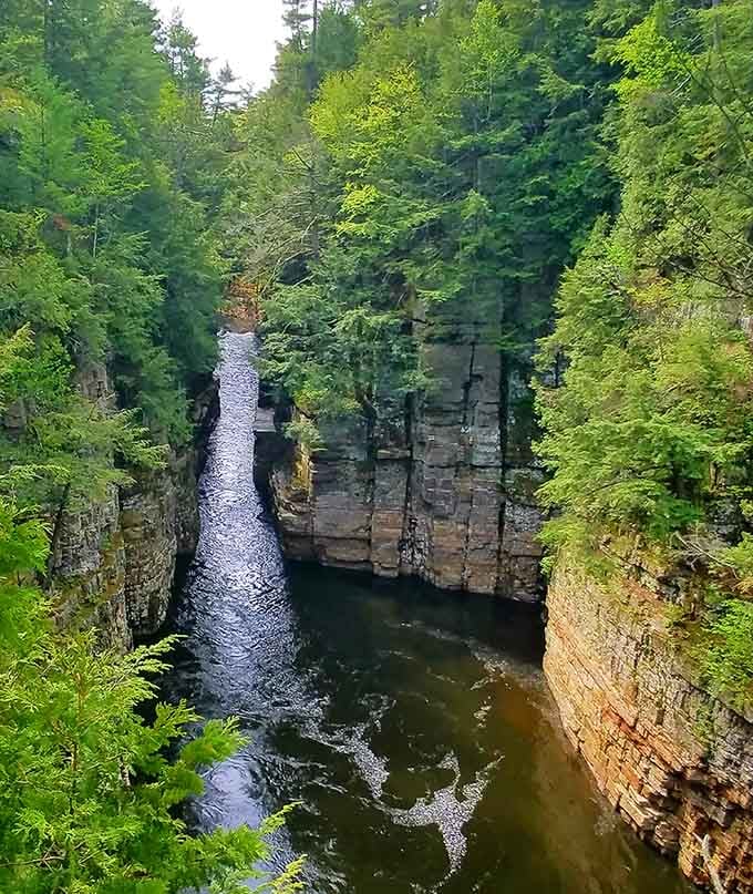 The Ausable River winds through towering rock formations, carving deeper into stone with patient, relentless determination.