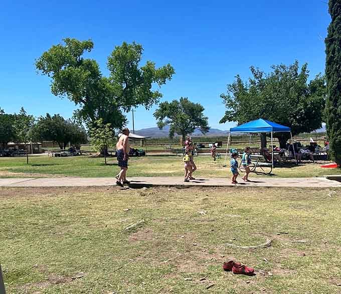 Families claiming their spots under shade structures, preparing for a day of swimming that beats any water park.