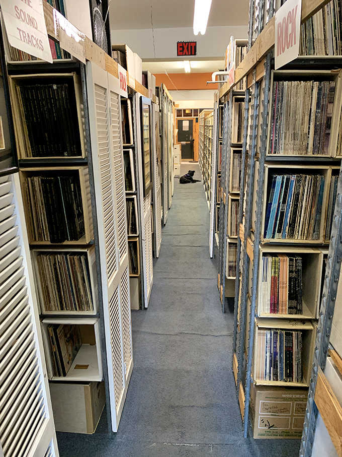 Floor-to-ceiling shelves packed with vinyl create a maze that would make even the most organized librarian dizzy.