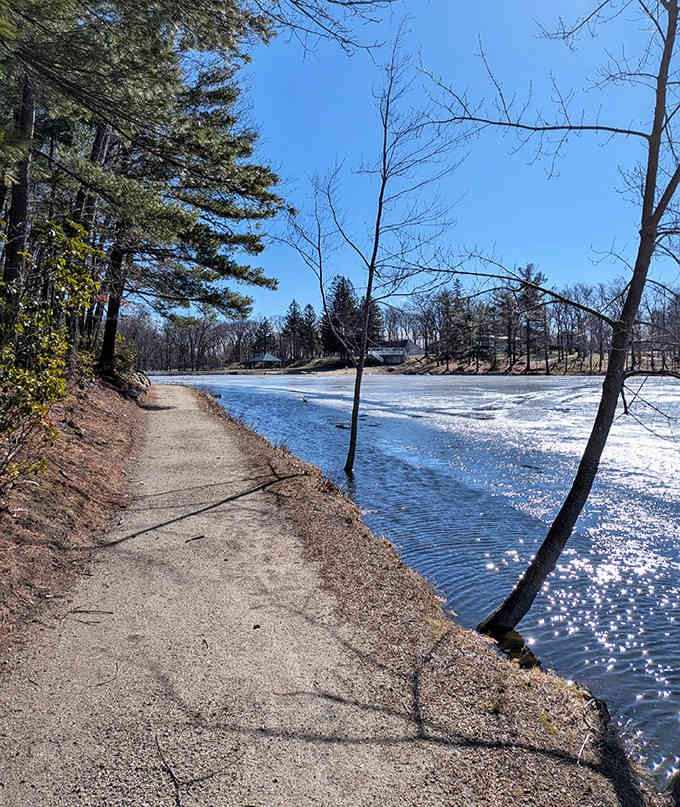 Winter's grip transforms the riverside path into a sparkling wonderland that would make Narnia jealous, minus the witch.