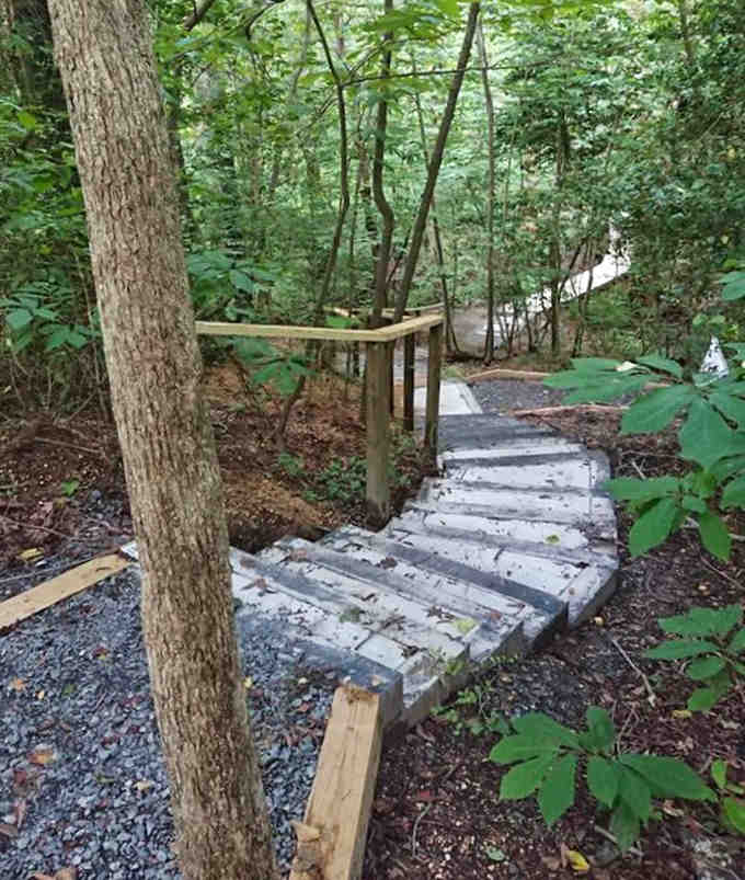These stairs lead down to trails that'll make you forget you're still technically in Maryland.