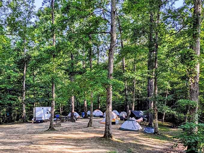 Camping under Kentucky's canopy means your neighbors are trees, not people blasting music at 2 AM through thin walls.