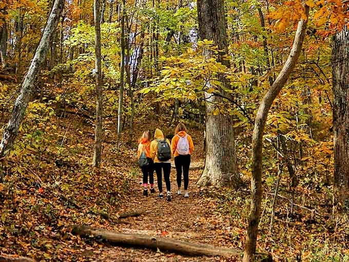 Fall hiking in Virginia means walking through nature's own fireworks display, minus the noise and crowds.