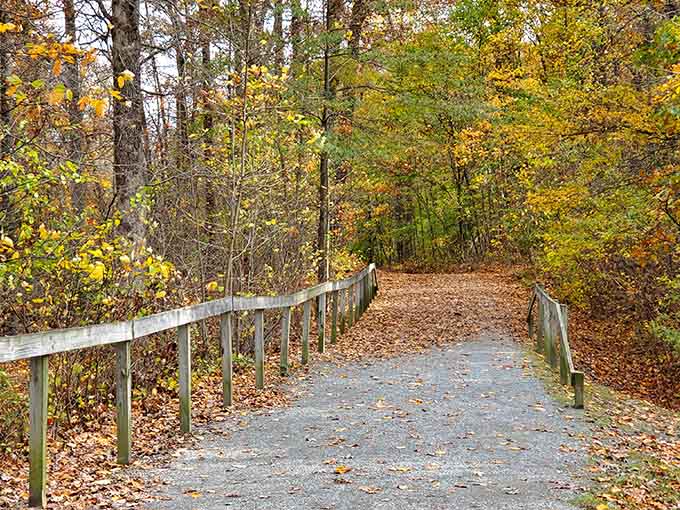 Fall foliage transforms the Ma & Pa Heritage Trail into a golden corridor perfect for peaceful walks.