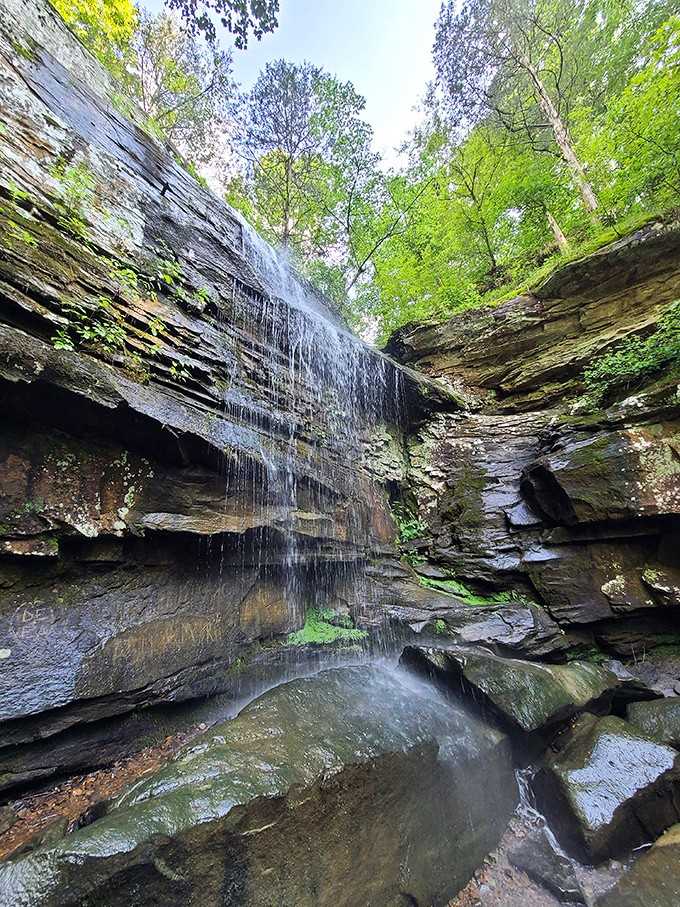 This waterfall creates the kind of natural white noise that makes expensive sound machines feel utterly ridiculous.