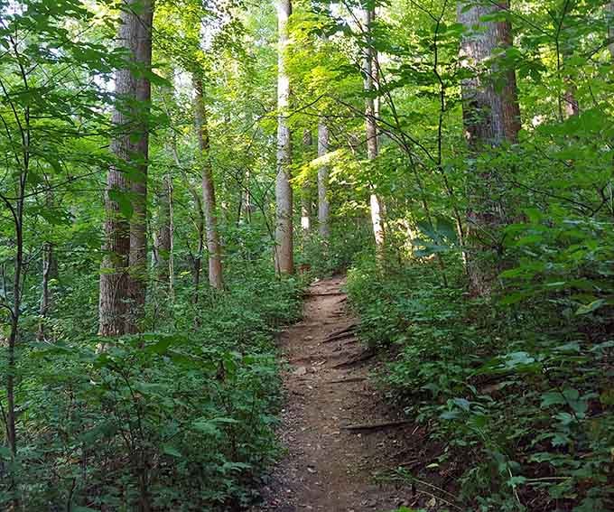 These trails have seen more peaceful contemplation than a monastery and offer better views too.