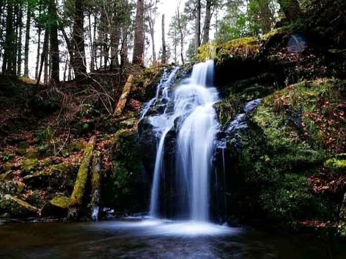 Nature's own meditation spot, where cascading water over moss-covered rocks creates the soundtrack to perfect contemplation and peace.