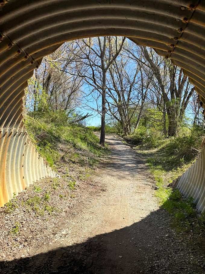 Through the looking glass, or in this case, through the metal tunnel that frames your next adventure perfectly.