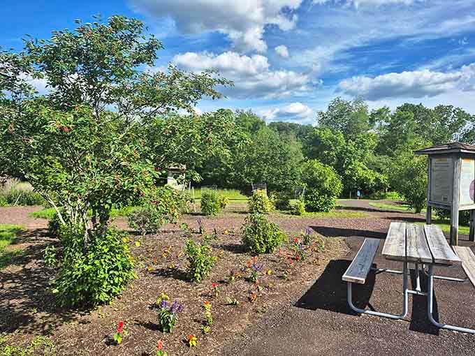 That picnic table is calling your name, promising peaceful lunches without a single email notification interrupting you.