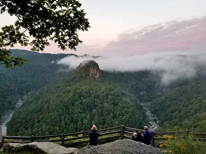 Morning mist rolling through the canyon like nature's own special effects department showed up for work early today.