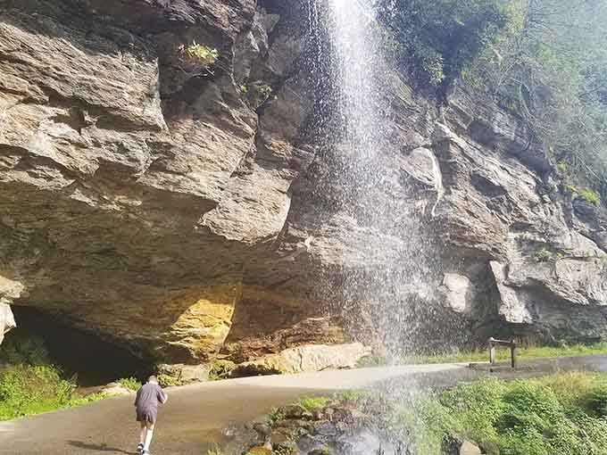Standing beneath this cascade, you're part of something that's been happening long before Instagram made it shareable.