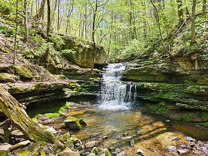 Small waterfalls, big impact. Nature doesn't need to shout to get your attention here.
