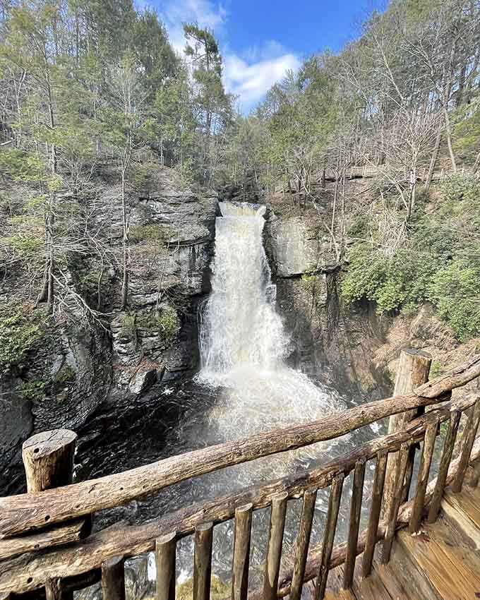 Winter transforms the falls into a frozen sculpture, proving Pennsylvania's beauty works overtime in every season.