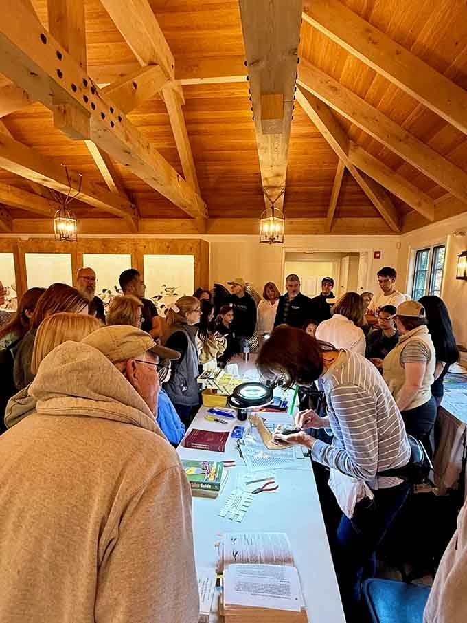 Hands-on learning sessions let participants examine feathers and wings up close, no binoculars required for this experience.