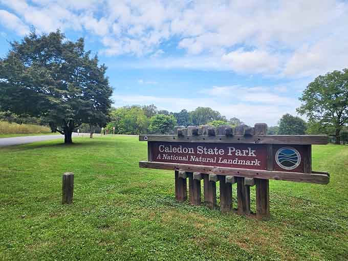 That National Natural Landmark designation isn't just bureaucratic decoration, it's the real deal earning its stripes.