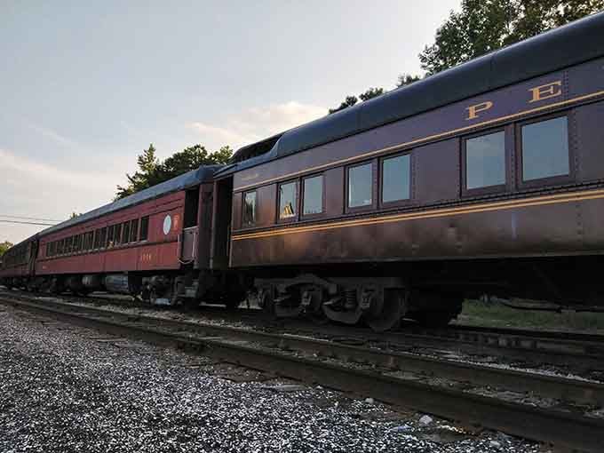 Vintage coaches lined up and ready to roll, looking remarkably good for their age, honestly.
