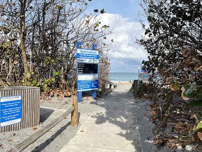 Every great beach day starts with a simple choice: turn left or turn right?