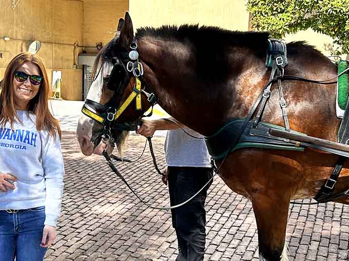 Make some new four-legged friends while exploring the historic streets of Savannah. It is the perfect way to see the city!