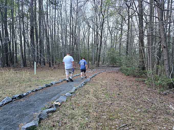 Family-friendly trails welcome hikers of all ages and their furry friends to enjoy the natural beauty of this under-the-radar forest.