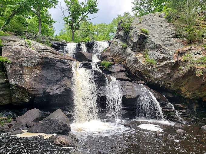 Chapman Falls in full force, cascading down like nature's own multi-level fountain without the pretentious marble statues.
