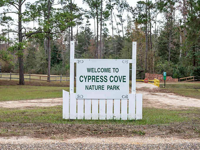 Cypress Cove Nature Park offers free outdoor therapy that doesn't require insurance approval or copays.