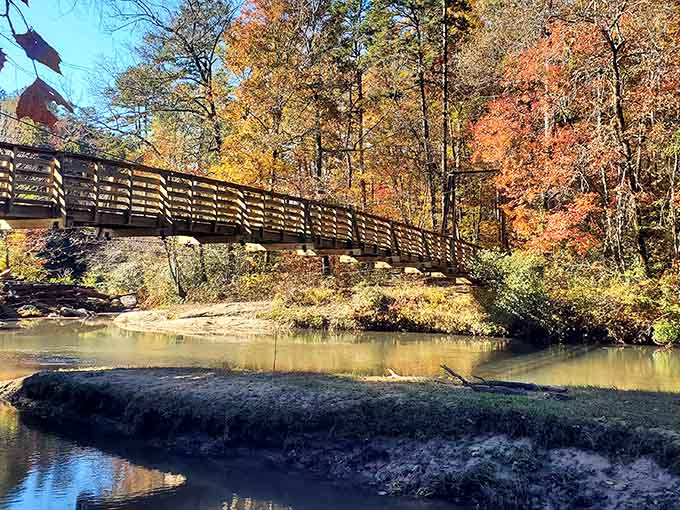 This suspension bridge offers views that'll make your heart skip, and not just from the height.