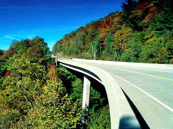 The pavement ribbons through summer foliage so lush you'll swear you can smell the chlorophyll through your windshield.